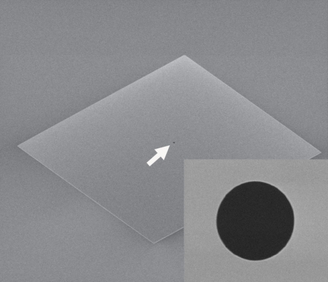 Research Areas | New York State Department of Health, Wadsworth Center