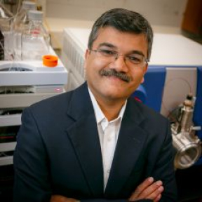 Wadsworth Center’s Dr. Kurunthachalam Kannan Delivers Keynote at ...